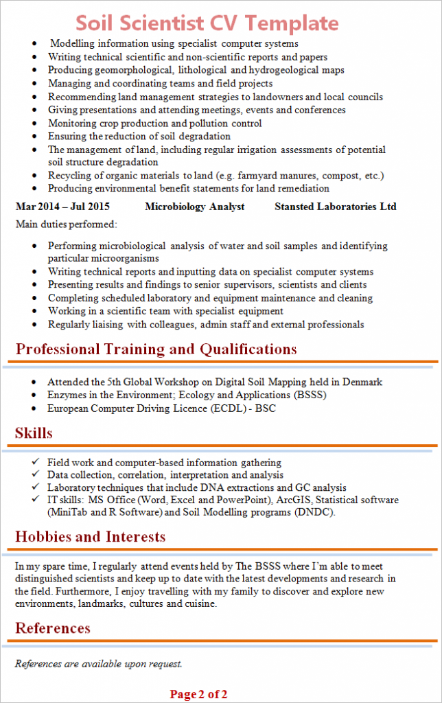 What makes this CV good and effective?